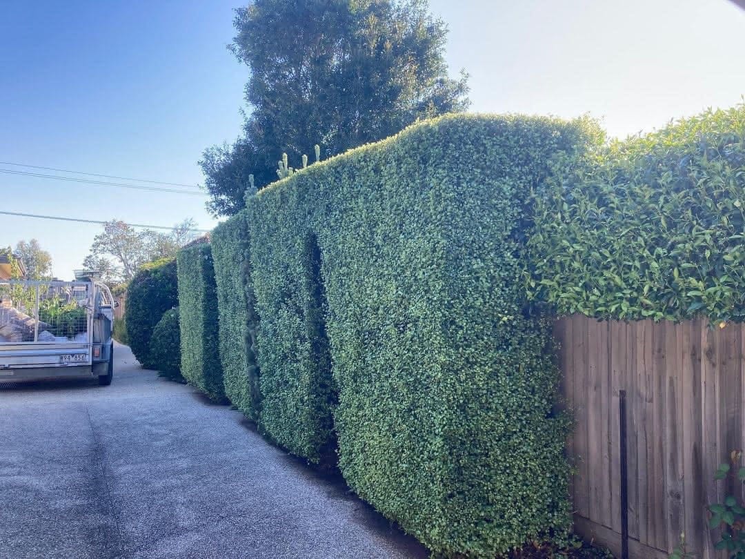 Total Property Care – Mornington Peninsula & Bayside Property Maintenance