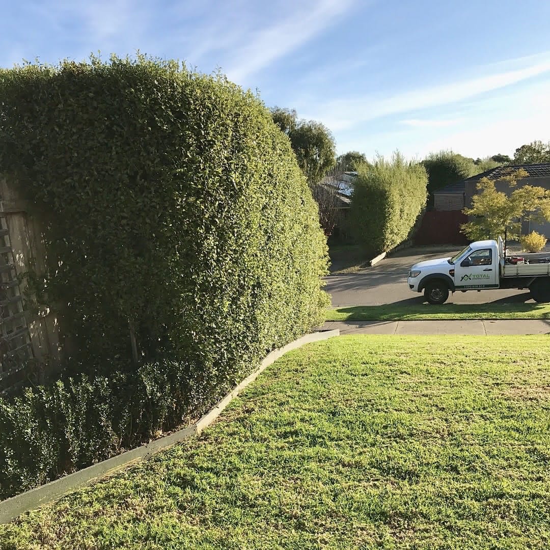 Total Property Care – Mornington Peninsula & Bayside Property Maintenance